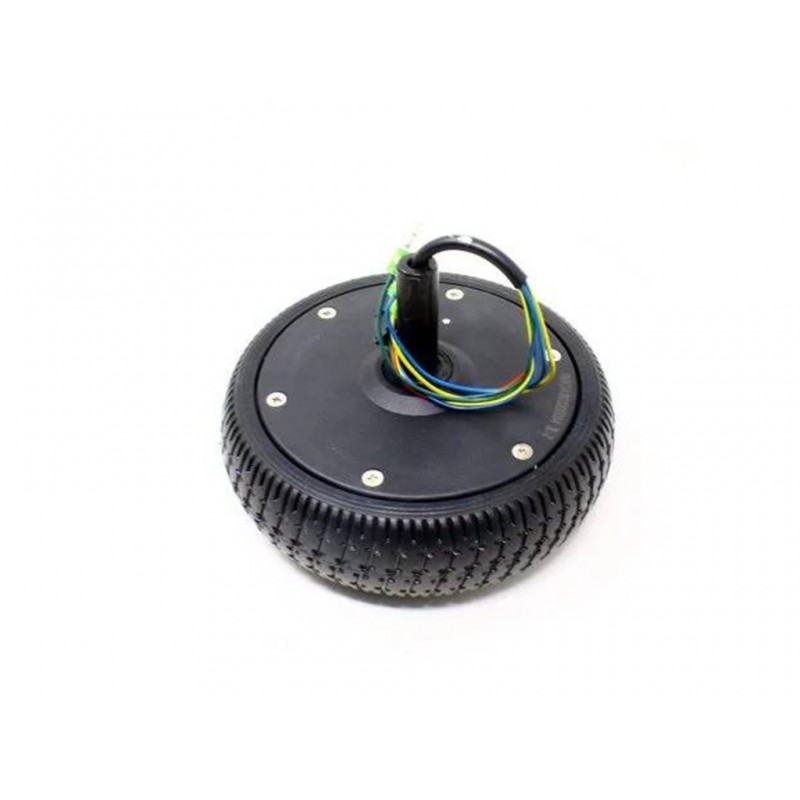 6 Inch 250W 24V Brushless Hub Motor With Tyre For E Bike